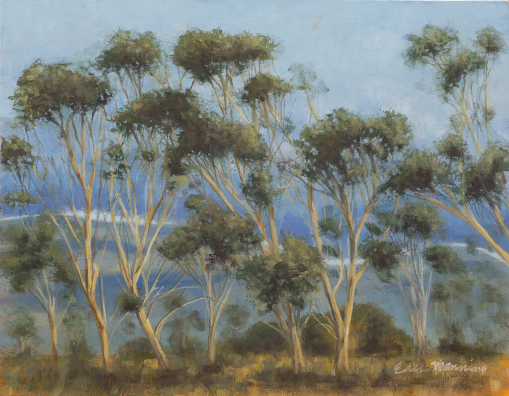Australian Eucalyptus - Eric Manning Studio